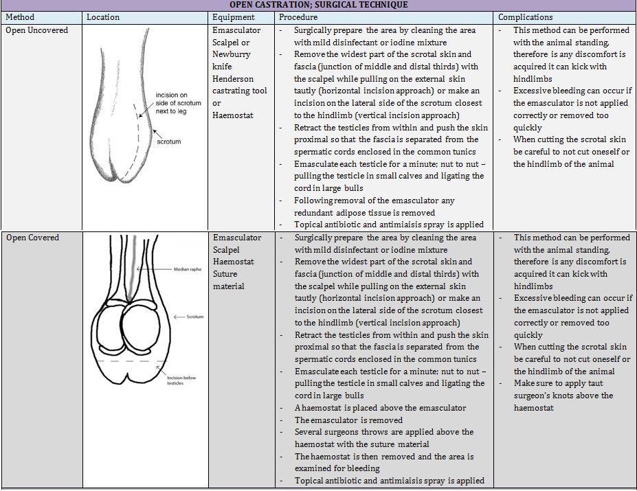 VET 2018 LAS Group E Lab 9 Bovine Castration